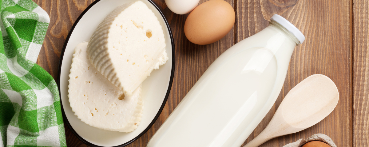 Milk & Cheese: CIP systems for the Dairy sector